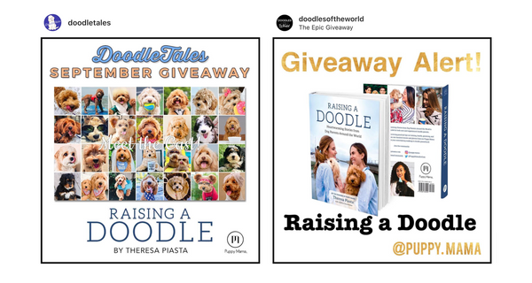 Win an Exclusive Sneak Peak of book "Raising a Doodle" – Puppy Mama